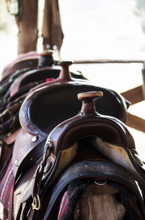 TIPOS DE FUSTES EN LAS MONTURAS DE CABALLO - TALABARTERÍA EL POTRO